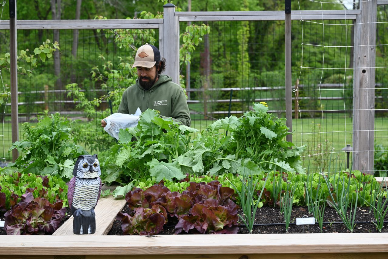Choosing a Weed Killer Spray: Horticultural Vinegar versus Round-Up ...