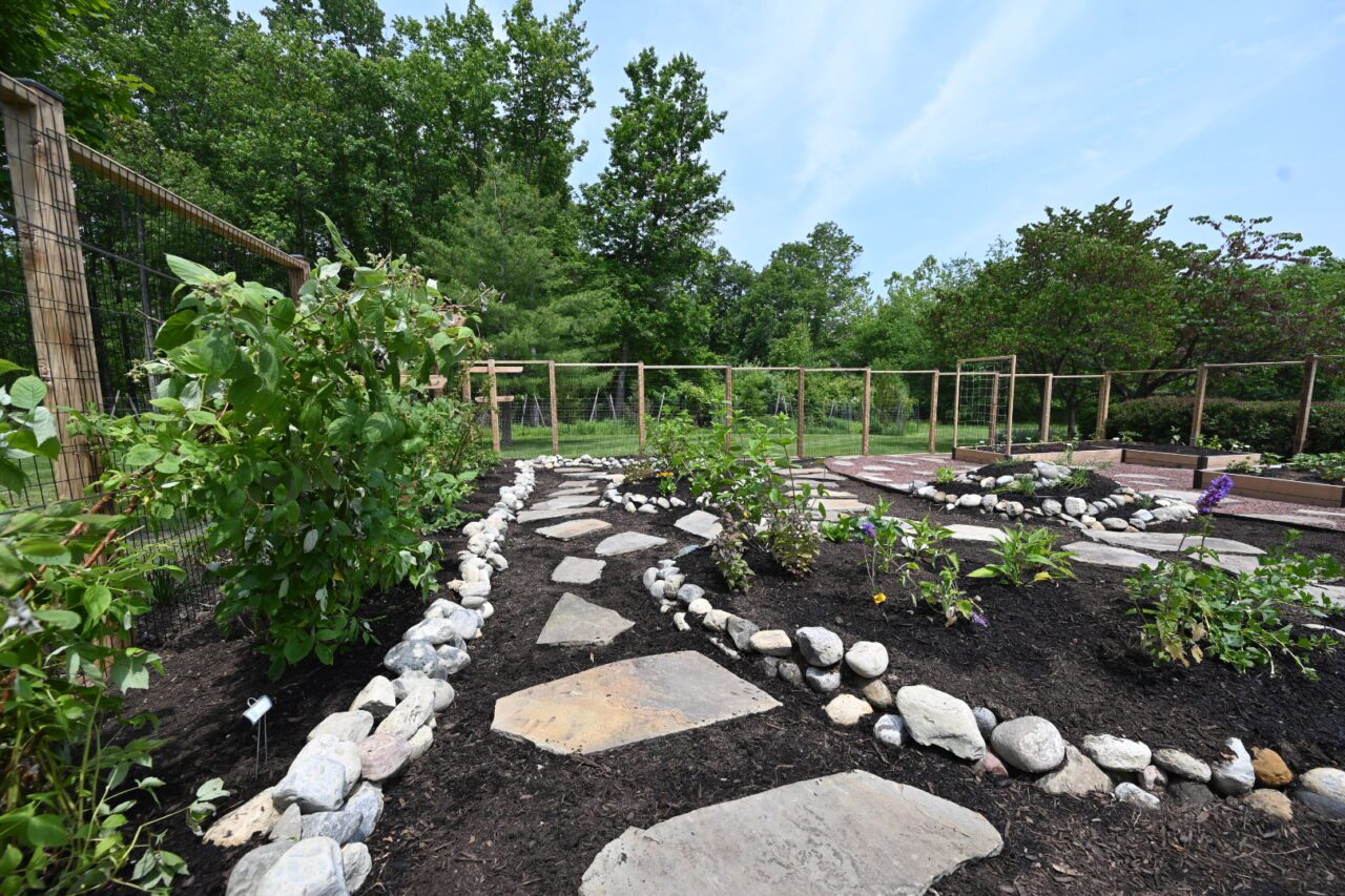 Garden Enhancements: Trellises, Stone & Perennials | Backyard Eats